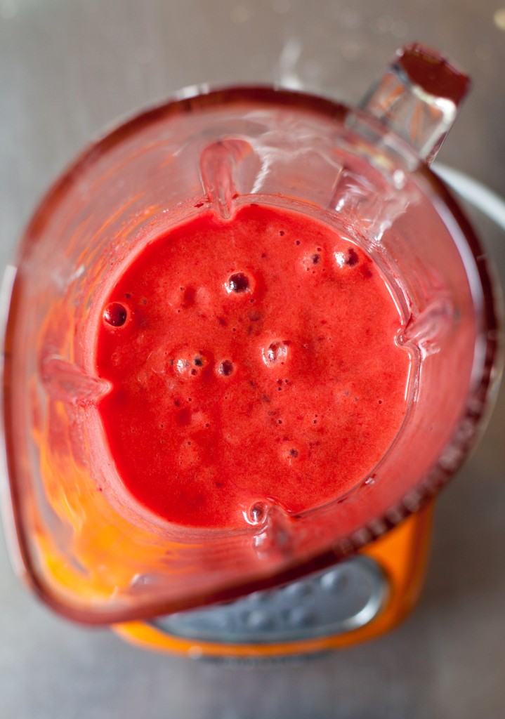 Healthy Homemade Fruit Roll Recipe | Just Easy Recipes