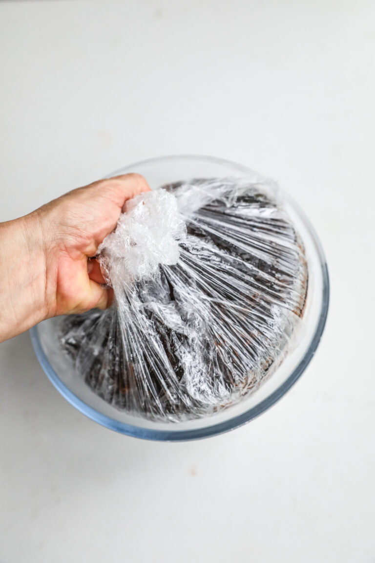 Easy Baked Alaska (Step-by-Step Recipe with Photos & Video) - Just Easy ...