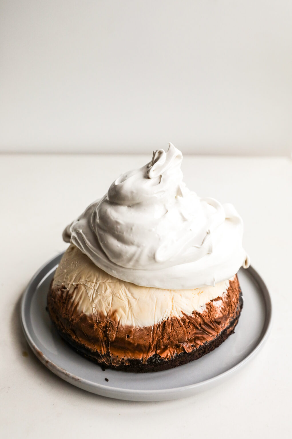 Easy Baked Alaska (Step-by-Step Recipe with Photos & Video) - Just Easy ...