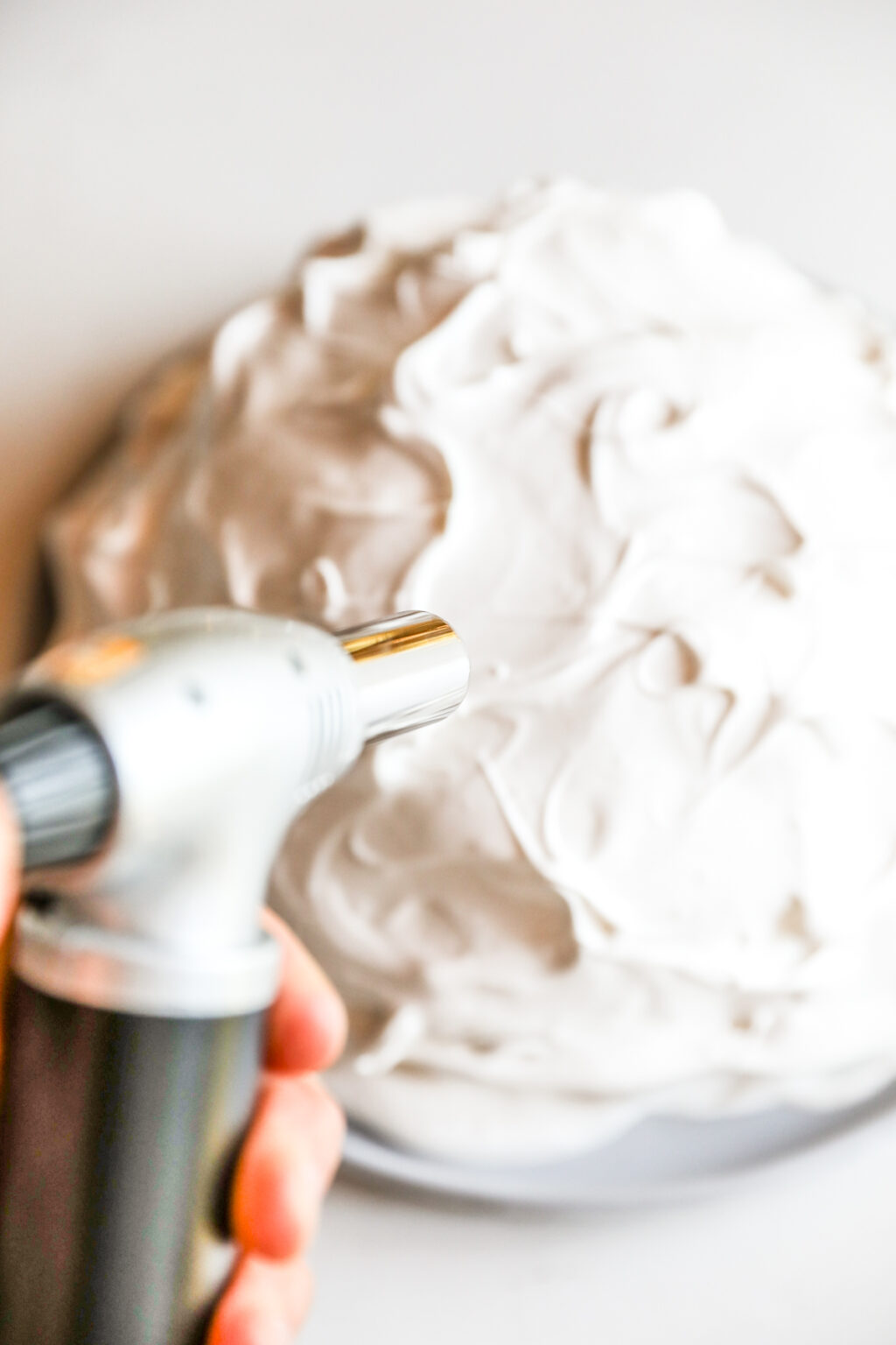 Easy Baked Alaska (Step-by-Step Recipe with Photos & Video) - Just Easy ...