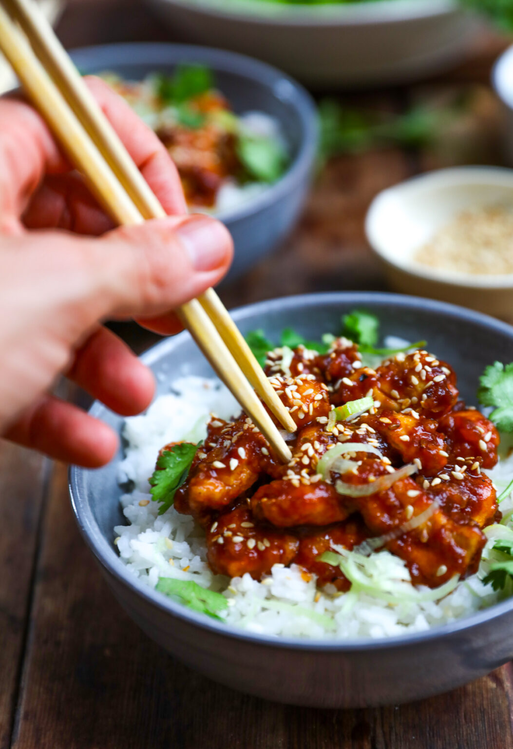 Asian Sesame Chicken with Honey Garlic Sauce - Just Easy Recipes