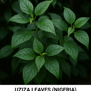 25 Foods that Start with the Letter U (Photos and Recipes included ...