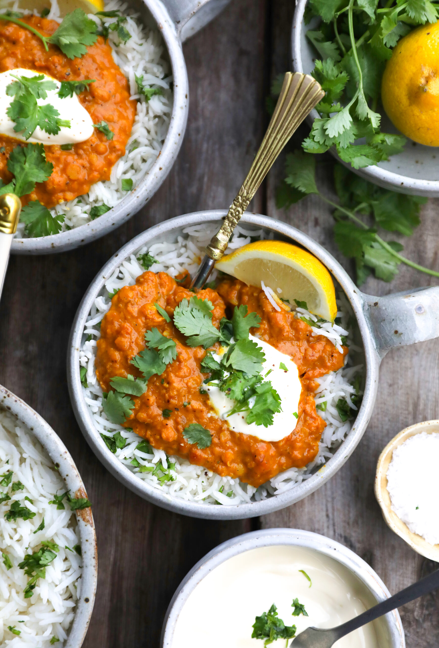 Easy Creamy Red Lentil Curry Recipe - Just Easy Recipes