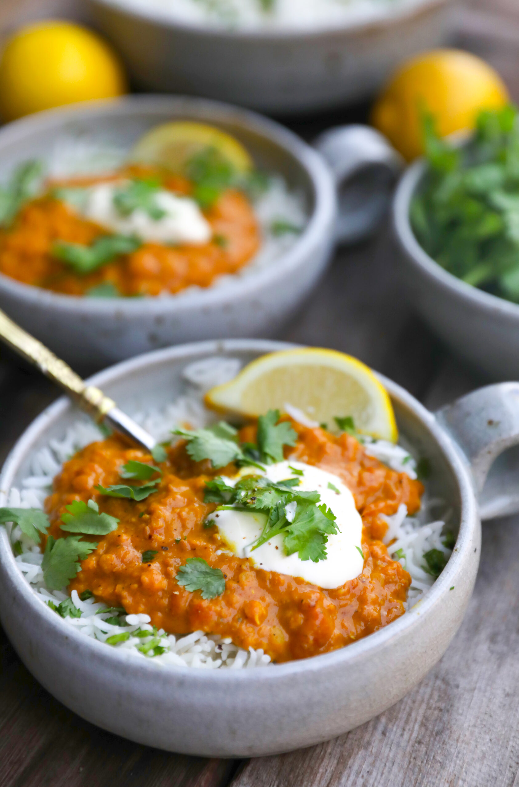 Easy Creamy Red Lentil Curry Recipe - Just Easy Recipes